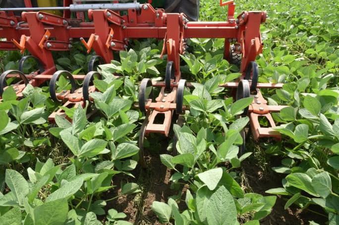 Template Advanced Artikel: Inter-row cultivation in soybean - legumehub.eu