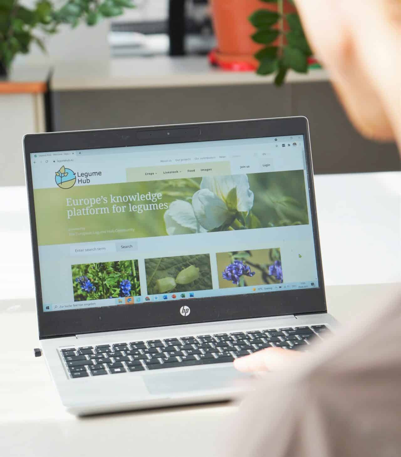 The Legume Hub: Empowering the European legume development community - legumehub.eu