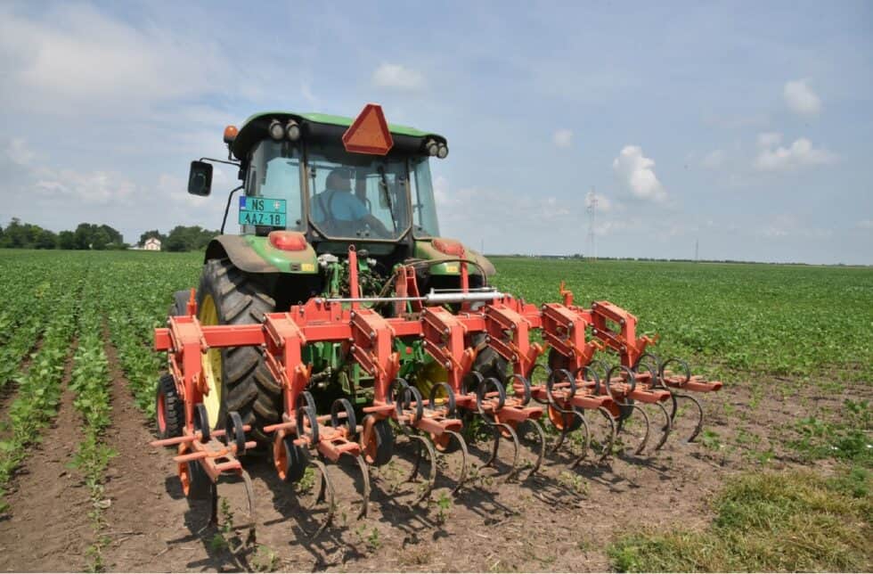 Inter-row cultivation in soybean - legumehub.eu