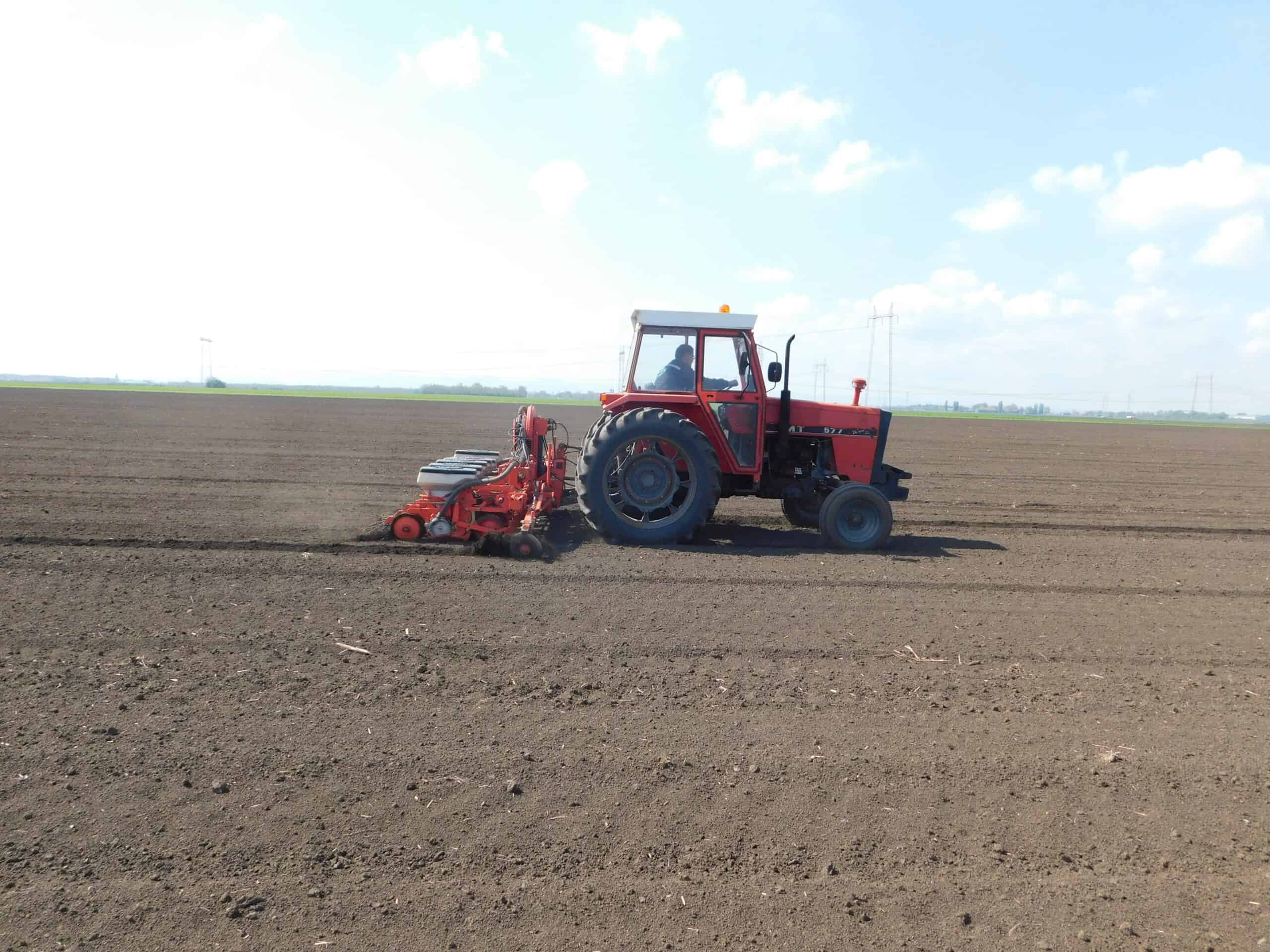 Cultivation practices in soybean production at a glance - legumehub.eu