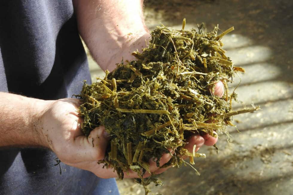 Harvesting and storing lucerne | legumehub.eu