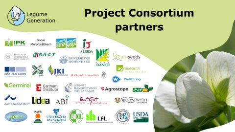 Legume Generation - legumehub.eu